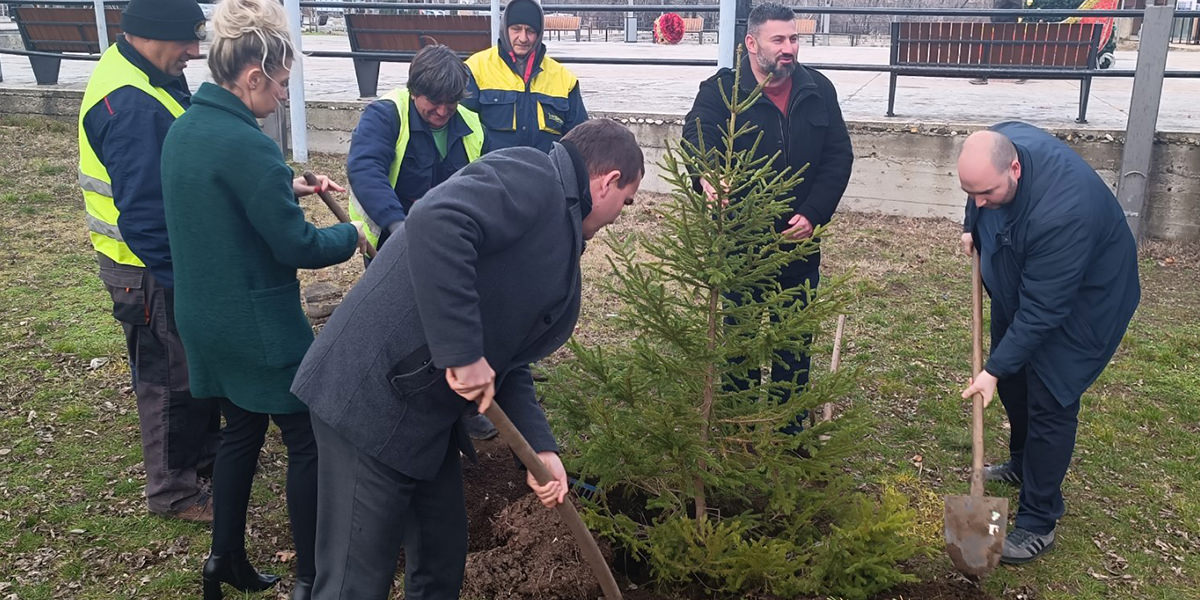 Град Бор традиционално спроводи акцију пошумљавања